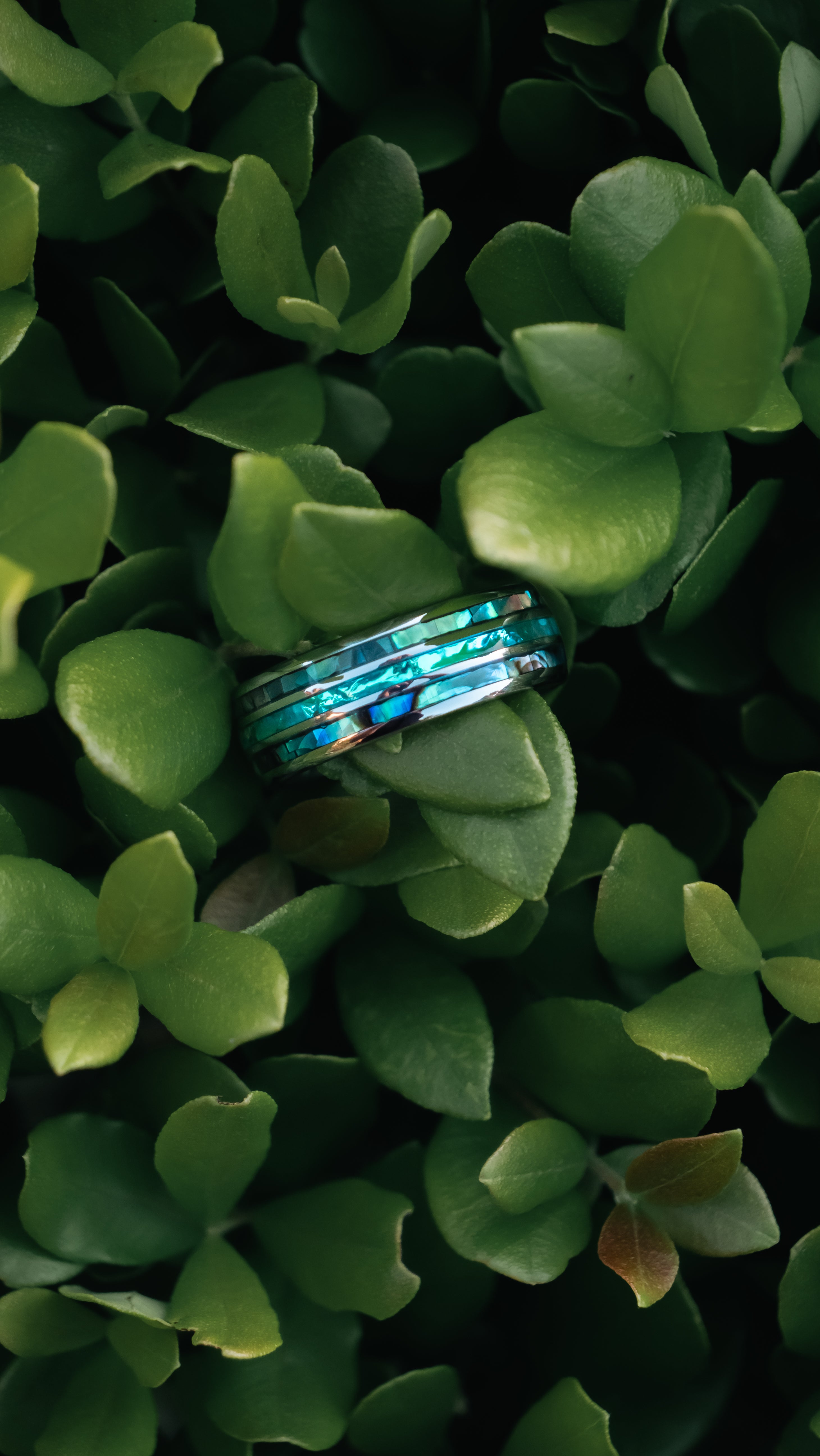 ILU JEWELRY – Dezerv Digital